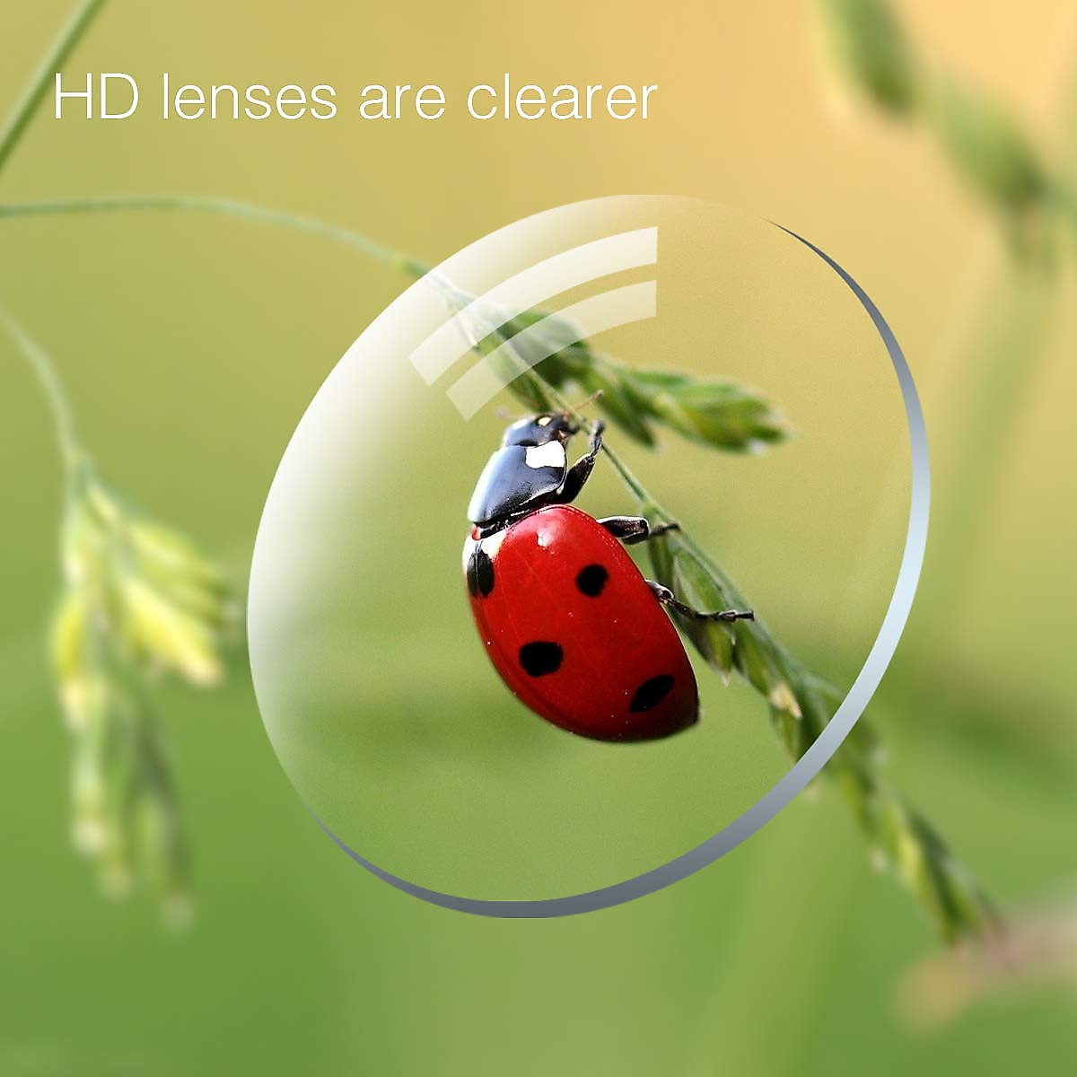 MIRYEA Photochromic Progressive Multifocal Computer Reading Glasses Anti UV Sun Readers