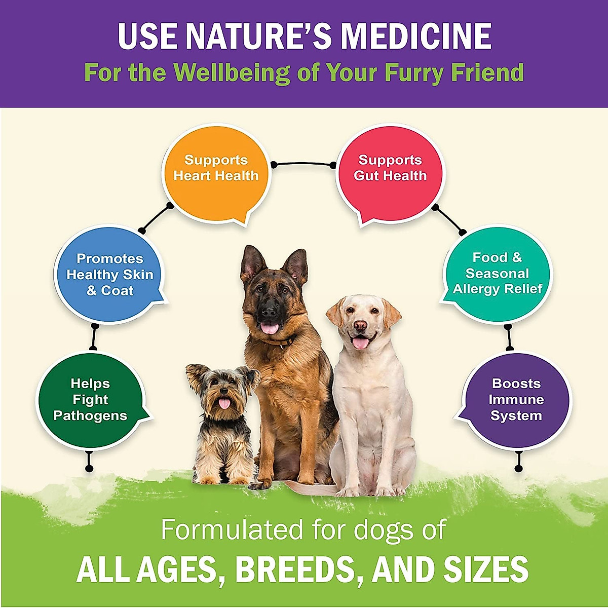 ZENAPET Allergy Immune Support Supplement for Dogs, Superfood 100% Human-Grade with Turkey Tail Mushroom, Prebiotics for Gut Health, Itchy Skin, Seasonal Allergies & Yeast - for Small to Large Breeds