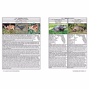 Florida Wildlife Encyclopedia: An Illustrated Guide to Birds, Fish, Mammals, Reptiles, and Amphibians