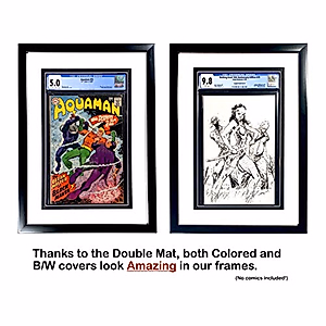 Coinz Comics: Graded Comic Book Frame, Black and White Acid-Free mat Board, Includes UV Protected Poly Facing, Fits CGC and CBCS Graded Comics, Wall Mountable with Sawtooth Hanger