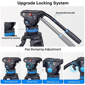 SIRUI AM-25S Video Tripod, 74.8" Professional Heavy Duty Tripod with Adjustable Damping Fluid Head for DSLR, Camcorder, Cameras, 360° Pan & +90°/-75° Tilt, Quick Release Plate, Max Load 22.0lb