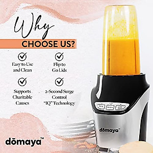 1000W High Power Personal Nutri Blender, Multi-Functional Portable Bullet Blenders for Kitchen, Use as Coffee Grinder, Baby Food Blender, & Shake Maker, With 2 Blades, 1L Tall Blender Cup & 0.4L Small Blender Cup - Domaya