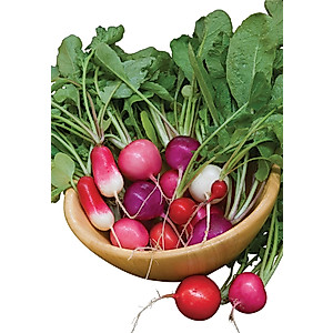 Burpee Cook's Custom Blend Radish Seeds 575 seeds