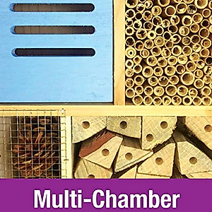 Nature's Way Bird Products PWH4 Deluxe Insect House