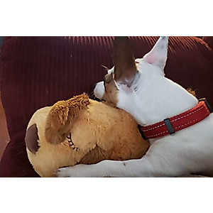 Pro Pet Works Puppy Heartbeat Toy-Calming Plush Stuffed Animal Dog Toy with Heartbeat for Relief of Separation Anxiety-Calming Behavioral Sleeping Aid Crate Training-Cuddle Pup