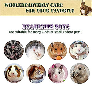 10 Pack Small Animal Combo Apple Wood Activity Toys, Hamsters Chew Toys, Rat Chinchilla Snacks Toys for Pets Organic Natural Accessories