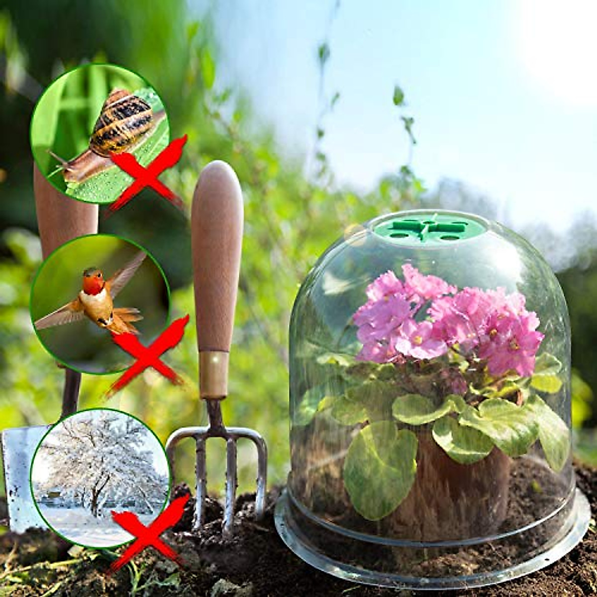 Vumdua Cloche Garden Dome, 6 Pack Plant Covers, Clear Plastic Dome, Humidity Domes for Seed Starting Greenhouse, Plant Dome with 18 Ground Securing Pegs & 10 Plant Label (7.3" D x 6.9" H)