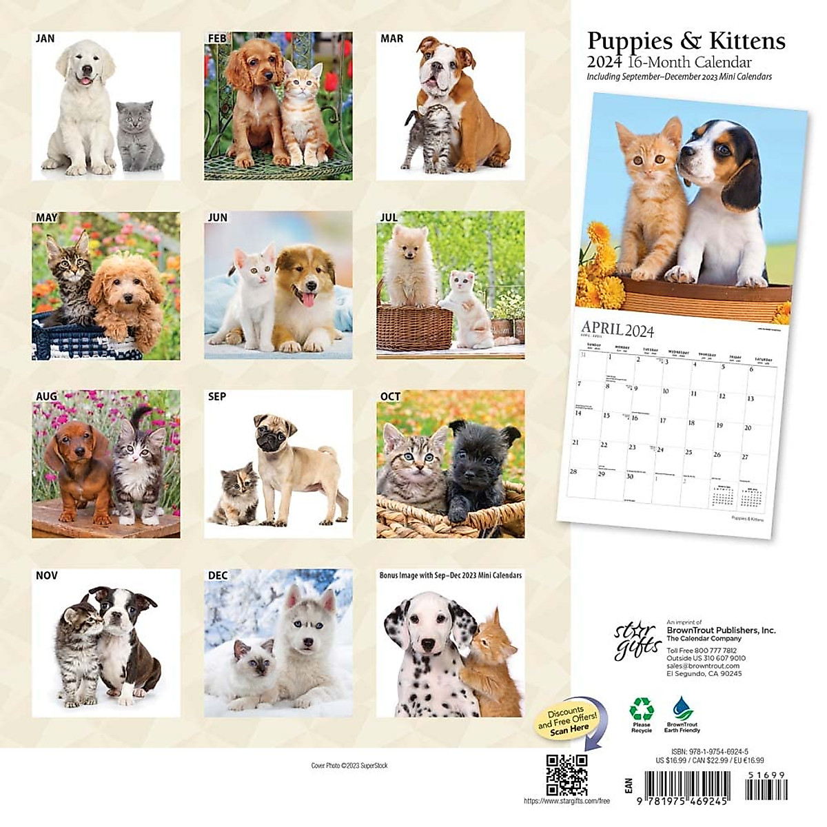 Puppies & Kittens | 2024 12 x 24 Inch Monthly Square Wall Calendar | Sticker Sheet | StarGifts | Animals Cute Kitten Pets