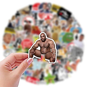 105pcs Funny Stickers ,Adult meme Stickers, barry wood prank Decals for hard hat, laptop, bumper,Unique Durable Perfect for Waterbottle ,Laptop,Computer