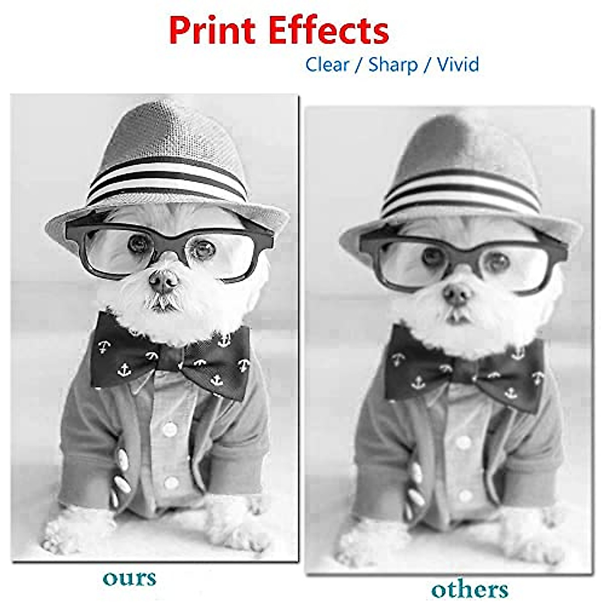 High Yield TN210 TN210BK Toner Cartridge Replacement for Brother TN-210 HL-3040CN HL-3045CN HL-3070CW HL-3075CW MFC-9010CN MFC-9120CN MFC-9125CN MFC-9320CW Printer Toner (Black, 2-Pack)