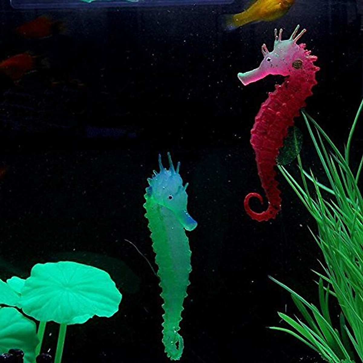 Bestgle 3Pcs Aquarium Ornament Glowing Floating Effect Artificial Sea Horse for Fish Tank Decoration