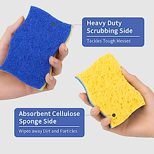 Ergonomic Design Dish Sponge 10 Pack - high Cellulose Scrub Sponge Set,Dual-Sided Dish Sponge for Kitchen Three Levels Composite Material for High Durability