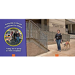 Doggy Defenders: Willow the Therapy Dog