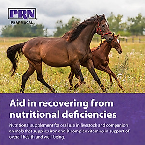 PRN Pharmacal Liqui-Tinic 4X - Iron & Vitamins Oral Nutritional Supplement for Pets- Liver-Flavored Supplement with Iron & B-Complex Vitamins to Support Wellness - 1 Gallon