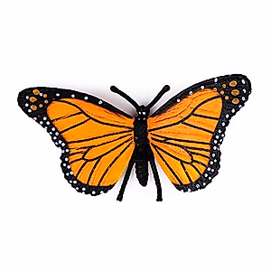 UANDME 4pcs Butterfly Life Cycle Kit Lifestyle Stages of Monarch Butterfly Teaching Tools for Kids, Students