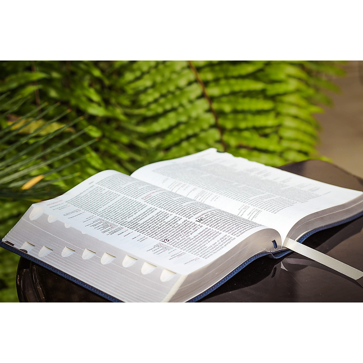 Reina Valera Revisada, Biblia de Referencia Thompson, Leathersoft, Azul añil, Palabras de Jesús en Rojo, con Índice (Spanish Edition)