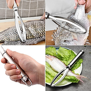 4 Pieces Fish Scale Remover Cleaner Kit Fish Scale Cleaning Tool Fish Skin Grates Stainless Steel Serrated Fish Scale Scraper for Kitchen Fish Cleaning Tools