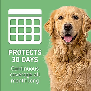 NEXTSTAR Flea and Tick Prevention for Dogs, Repellent, Treatment, and Control, Fast Acting Waterproof Topical Drops for Large Dogs, 3 Monthly Doses