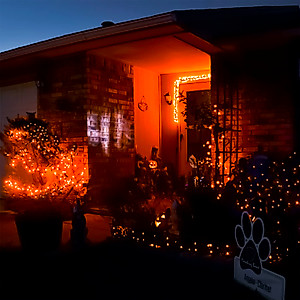 JMEXSUSS 2 Pack Solar Halloween Lights, 33ft 100 LED Outdoor Waterproof Orange Solar Lights for Tree Yard Patio Garden Halloween Thanksgiving Decorations