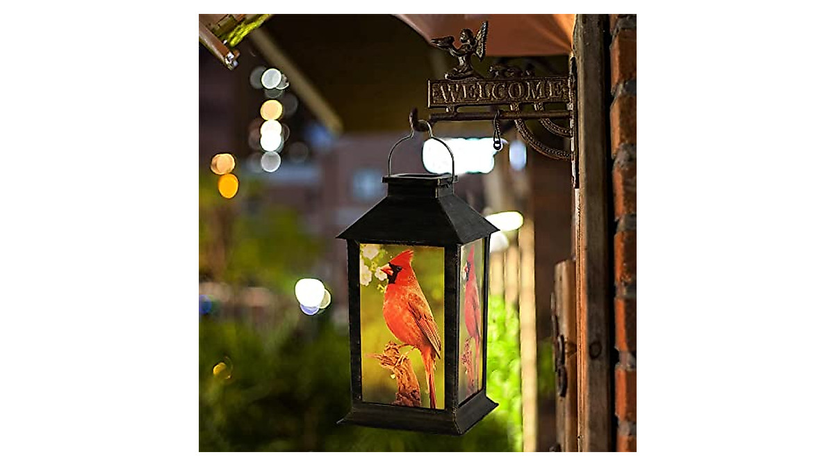 KYAYE Outdoor Solar Red Bird Lamp - Stylish & Waterproof