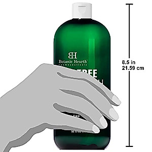 Botanic Hearth Tea Tree Body Wash, Helps with Nails, Athletes Foot, Ringworms, Jock Itch, Acne, Eczema & Body Odor, Soothes Itching & Promotes Healthy Skin and Feet, Naturally Scented, 16 fl oz