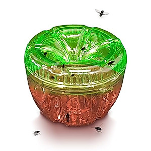 GREENSTRIKE 2-Pack Fruit Fly Traps for Indoors use. 120 Days Solution – Gnat Trap and Effective Fruit Fly Trap – Easy to Use – Best for Kitchen – Dining Areas - Reusable