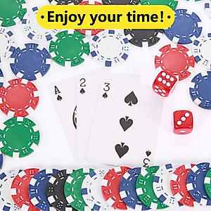 NOLIE Casino Poker Chip Set 300 PCS with Reinforced Aluminum Case for Gambling(11.5 Gram)