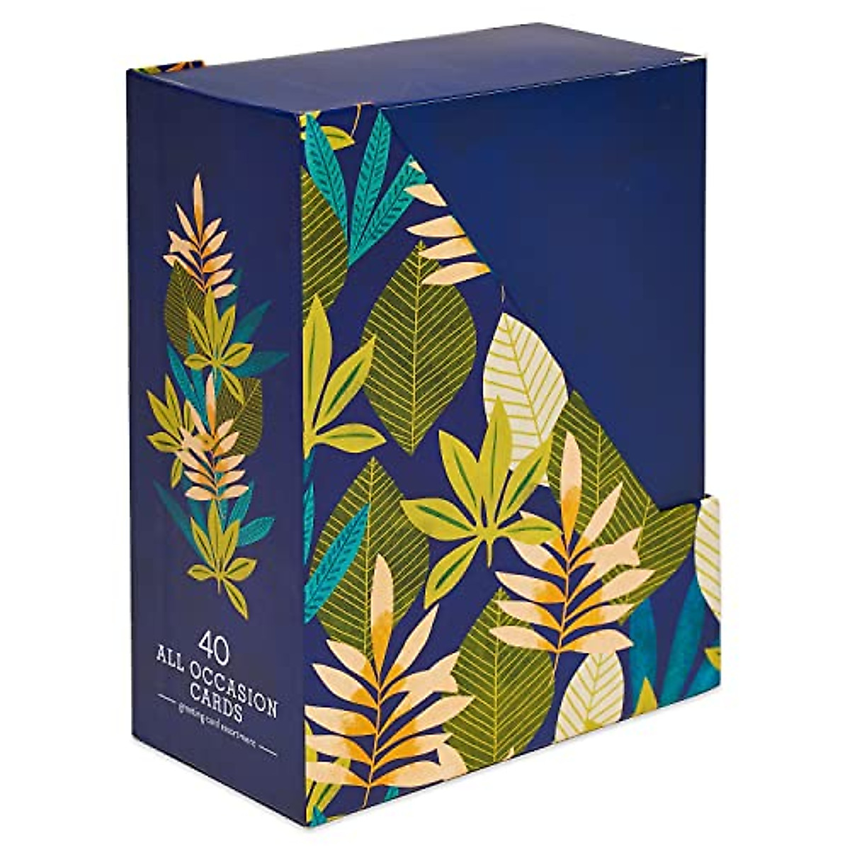 American Greetings Deluxe All Occasion Cards with Envelopes - Birthday, Thanks, Congrats and More (40-Count)