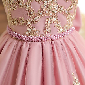 NNJXD Baby Girl Birthday Tutu Gown Pageant Party Wedding Dress 2035 Light Pink Size(90) 12-18 Months