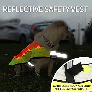 LaRoo Dog Raincoat Night Safety Pet T Shirts with LED Light & Reflective Strip, Waterproof Dog Vest Jacket Breathable Lightweight Slicker, Fashion Dog Outfit Coats for Puppy Small Dogs to Large Dogs