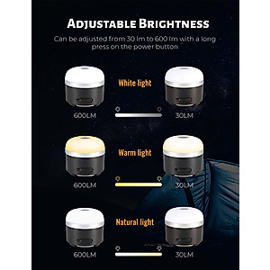 Wildley Camping Lantern, 600LM Camping Lights, 5 Light Modes Rechargeable Lantern Waterproof Mini Flashlight Emergency Lights for Home Power Failure, Camping Hanging, Car Camping (Black)