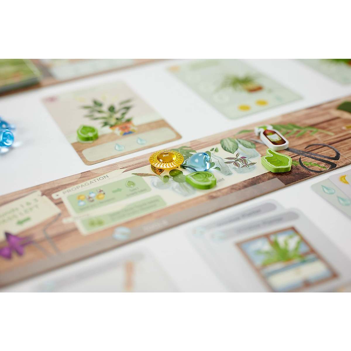 Planted Game by Phil Walker-Harding - Buffalo Games - Collect and nurture your houseplants.- Adult game night - Deck building game