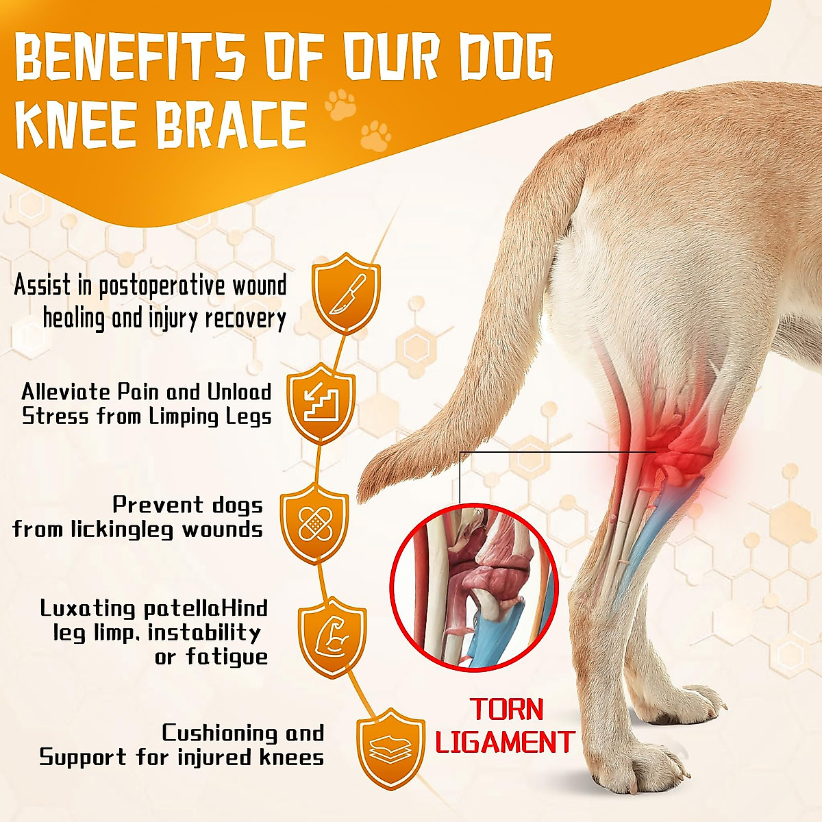 Dog ACL Knee Leg Brace, Dog Hip Brace for Front Torn and Back ACL Hind Rear Legs, Comfortable & Adjustable Tailwind Dog Hip Dysplasia Brace for Dog Arthritis, Luxating Patella with 10X Support (XL)