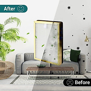 Filtmonster Upgraded MA-25 H13 True HEPA Replacement Filter for MA-25 Air Purifier，3-in-1 True HEPA, Activated Carbon and Pre-Filter（2 Set）