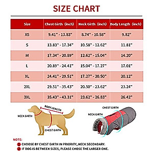 JOYPAWS Reversible Dog Coat, Windproof Waterproof Dog Jacket for Cold Weather, Warm Dog Winter Clothes Reflective Two-Tone Pet Apparel with Fleece Collar for Small Dogs Red S