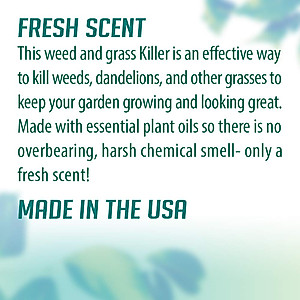 EcoSmart Natural, Glyphosate-Free Weed and Grass Killer Ready-to-Use Spray Formula for Lawns, Patios, Driveways and Pavers, 24 Ounce Bottle