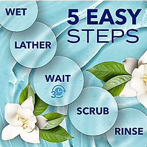 TropiClean SPA Shampoo Tear Stain Remover for Dogs | Oatmeal & Blueberry Scented Facial Cleanser for Dogs | Ideal for White Dogs & All Other Coats | Cat Friendly | Made in the USA | 8 Oz