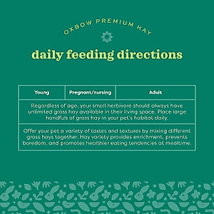 Oxbow Animal Health Hay Blends - Western Timothy & Orchard - 15 Ounce