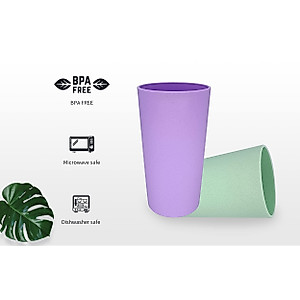 DLF.DONGLINFENG Wheat Straw Unbreakable Cup (17 Ounces) And (20 Ounces)-Reusable Drinking Cup Plastic Cup 10 Piece Set-Colorful-Dishwasher Safe-Bpa Free…