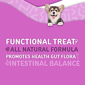 waggedy Advanced Probiotics Gut & Digestion Food Topper — Digestive Enzymes w/Papaya — Probiotic Powder — Dog Supplement Powder — Products for Dogs Over 6 Weeks (114g)