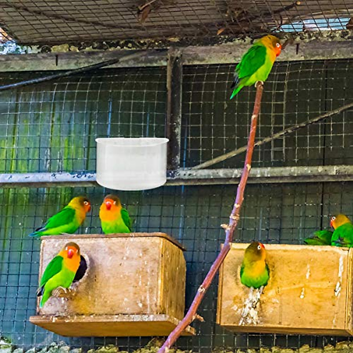 balacoo 12pcs Bird Water Hanging Cups Bird Food Water Bowls Clear Plastic for Bird Parrot Cage Feed Cup Food Container Supplies