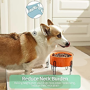 OMAYKEY 32 OZ Ceramic Elevated Dog Bowls with Metal Stand, Raised Cat Bowl Set for Food and Water, Pet Feeder Bowl Dish for Cats & Dogs, Non-Slip, Dishwasher Safe, White & Orange