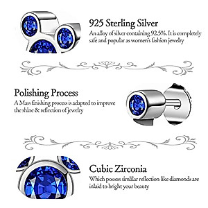 Dazlily Mouse Shape Stud Earrings 925 Sterling Silver Stud Earrings with Sparkling Cubic Zirconia Cute Studs Earring for Women Girls Jewelry Gifts (Mouse Dark Blue)