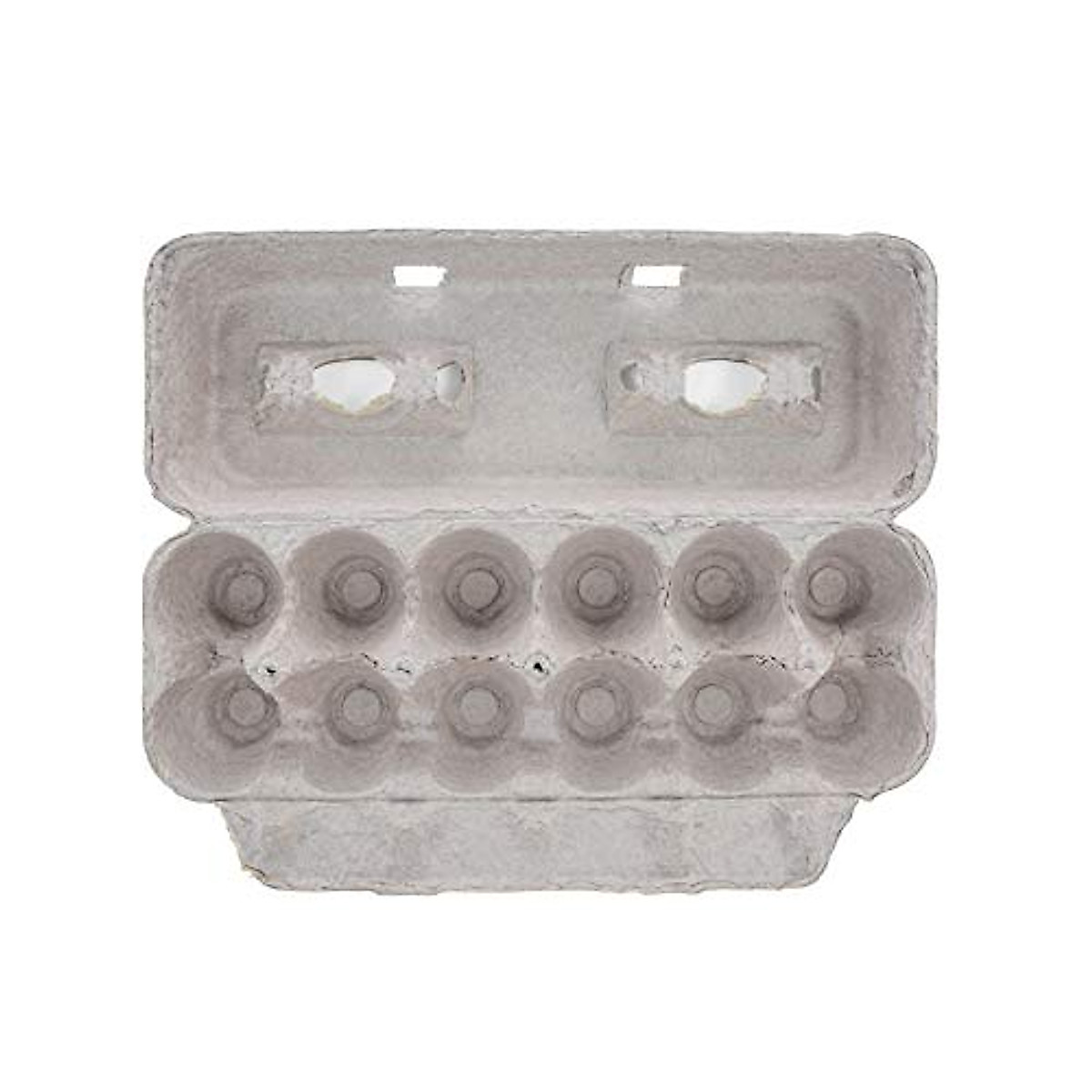 Printed Natural Pulp Egg Cartons Holds Up to Twelve Eggs - 1 Dozen Extra Large - Strong Sturdy Material Perfect For Storing Extra Eggs - by MT Products (25 Cartons) - Made in The USA