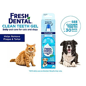 Naturel Promise Fresh Dental Clean Teeth Gel, 4 Fl Oz - Easy to Use Pet Dental Gel That Helps Remove Plaque, Tartar, and Freshen Breath-No Brushing Pet Oral Care for Dog Dental Care, Cat Dental Care