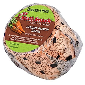 Horsemen's Pride Stall Snack Treat Holder & Refill for Horses; Apple Flavor