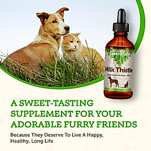 Animal Essentials Milk Thistle for Dogs & Cats - Liver Health Support, Herbal Extract, Liver Care Supplement, Organic Liquid Drops - 2 Fl Oz