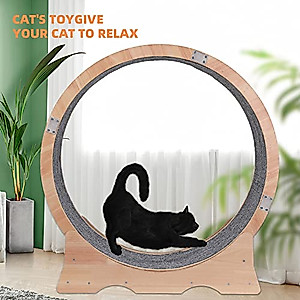 Cat Wheel, Cat Treadmill, Exercise Wheel, Cute Cat Furniture, Pet Toy, Cat Toy, Cats Loss Weight Device (Large)