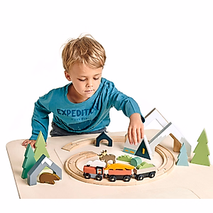 Tender Leaf Toys - Treetops Train Set - Beautiful Wooden Toy Train Set Kids - Intelligent and Imaginative Play Skills for Age 3+