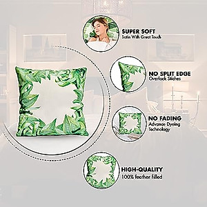 Cebo Decor Decorative Pillow Pura Vida Rose 20" 20 Pillow | Zipper Pillowcase Looks Beautiful for Home | Made with Faux Linen, Stuffed Feather, & 100% Polyester Pillow Case